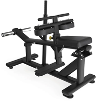 Toorx Professional Aktiv Seated Calf Raise WBX-B3000 | Fitwinkel.nl